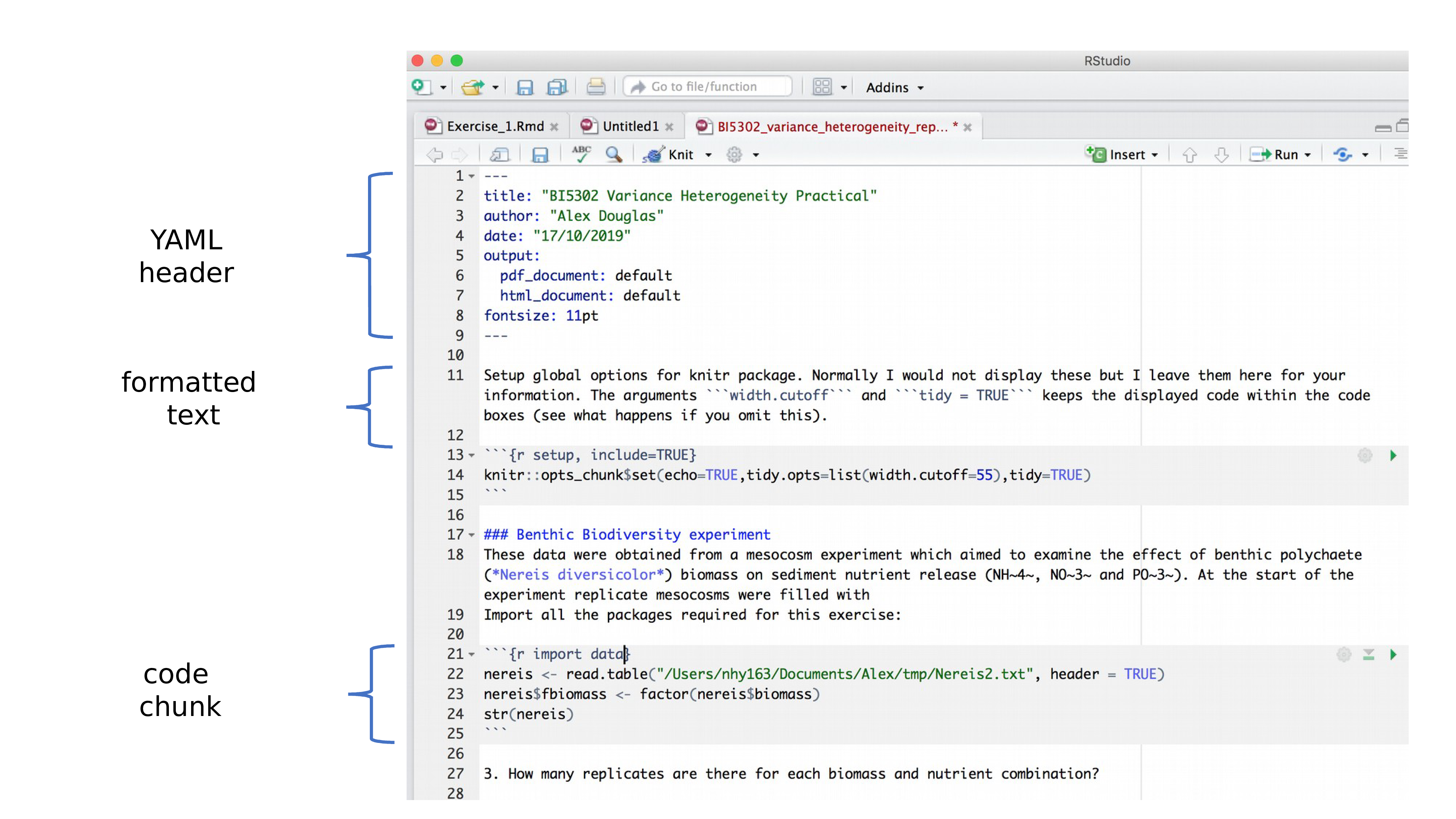 Load R Rmarkdown Github Portfolio Artoftiklo